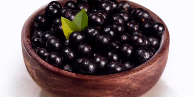 Acai Berry Properties and Health Benefits - HSN