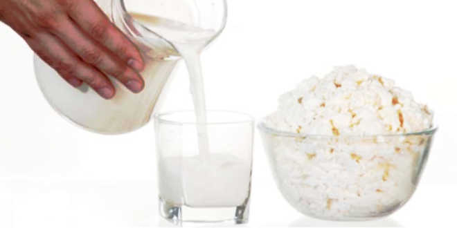 Casein: Everything You Need to Know About This Protein Source