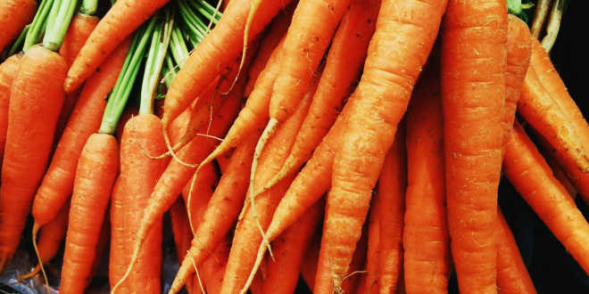 Beta-carotene - All you need to know at the HSN Blog
