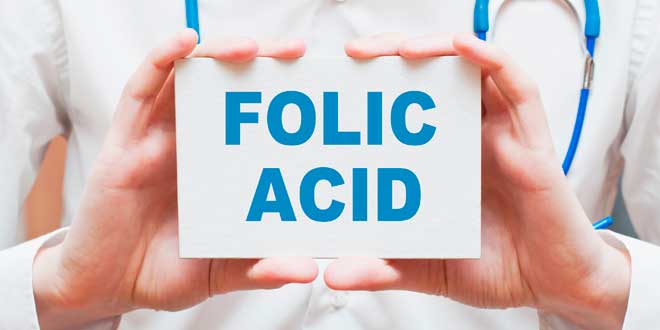 The 10 Main Food Sources of Folic Acid - HSN Blog