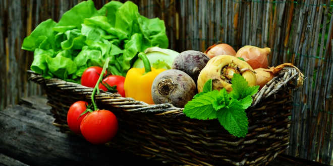 Properties and contraindications of beta-carotene