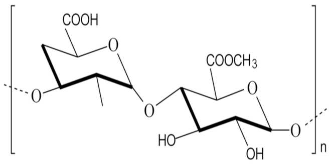 All you need to know about Chitosan in the HSN Blog