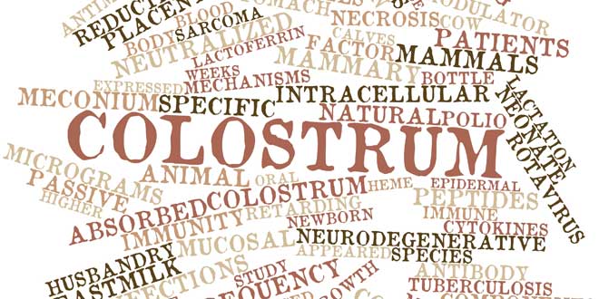 Colostrum - All you need to know at the HSN Blog!