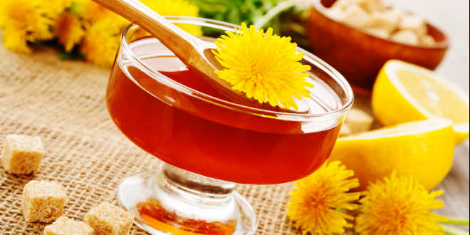 Dandelion - Let's find out about its many properties