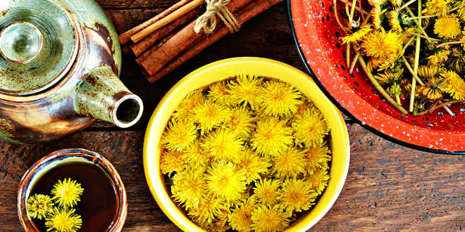 Dandelion - Let's find out about its many properties