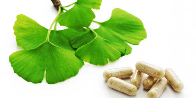 Ginkgo Biloba - All you need to know in the HSN Blog