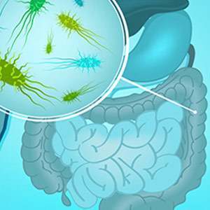 All you need to know about Inulin at the HSN Blog!