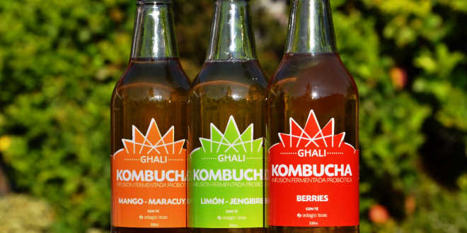 Kombucha - All you need to know at the HSN Blog
