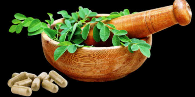 Moringa - Find out its properties and more at the HSN Blog