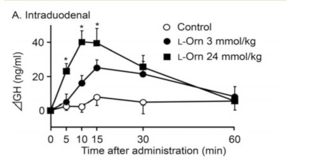L-Ornithine - All you need to know at the HSN Blog