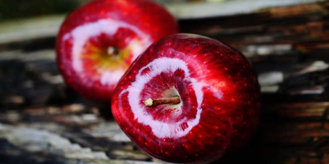 What is Quercetin? - All you need to know at the HSN Blog