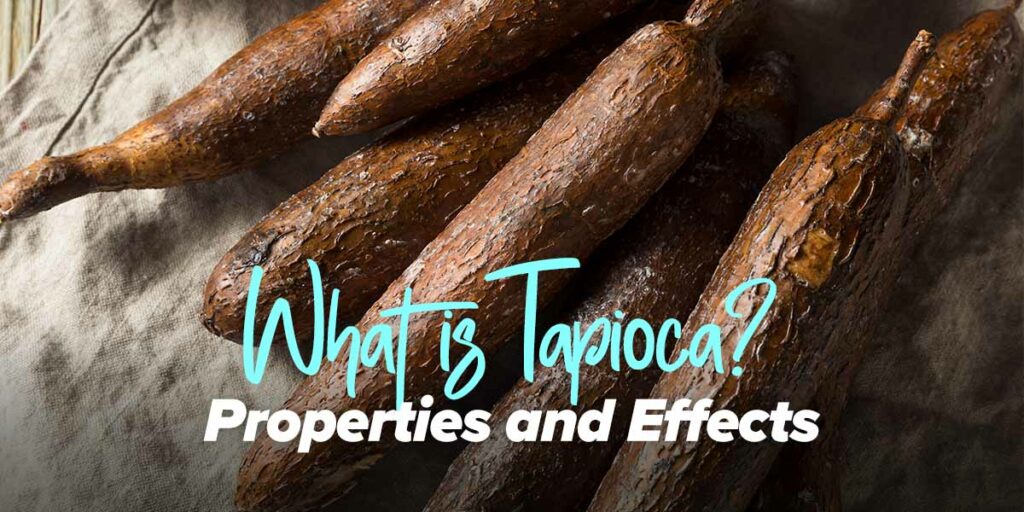 Tapioca - All you need to know about it at the HSN Blog