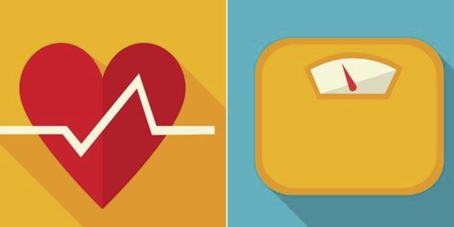 Keto-adaptation: All you need to know at the HSN Blog