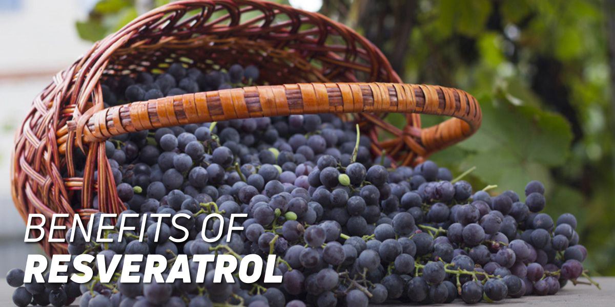 Resveratrol - All you need to know at the HSN Blog