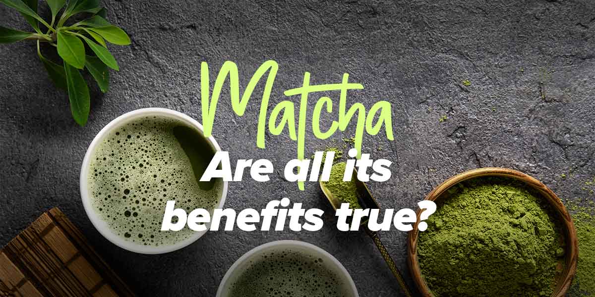 Matcha Tea - All you need to know at the HSN Blog