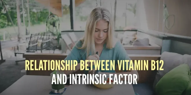 What is Intrinsic Factor and Its Relationship with Vitamin B12