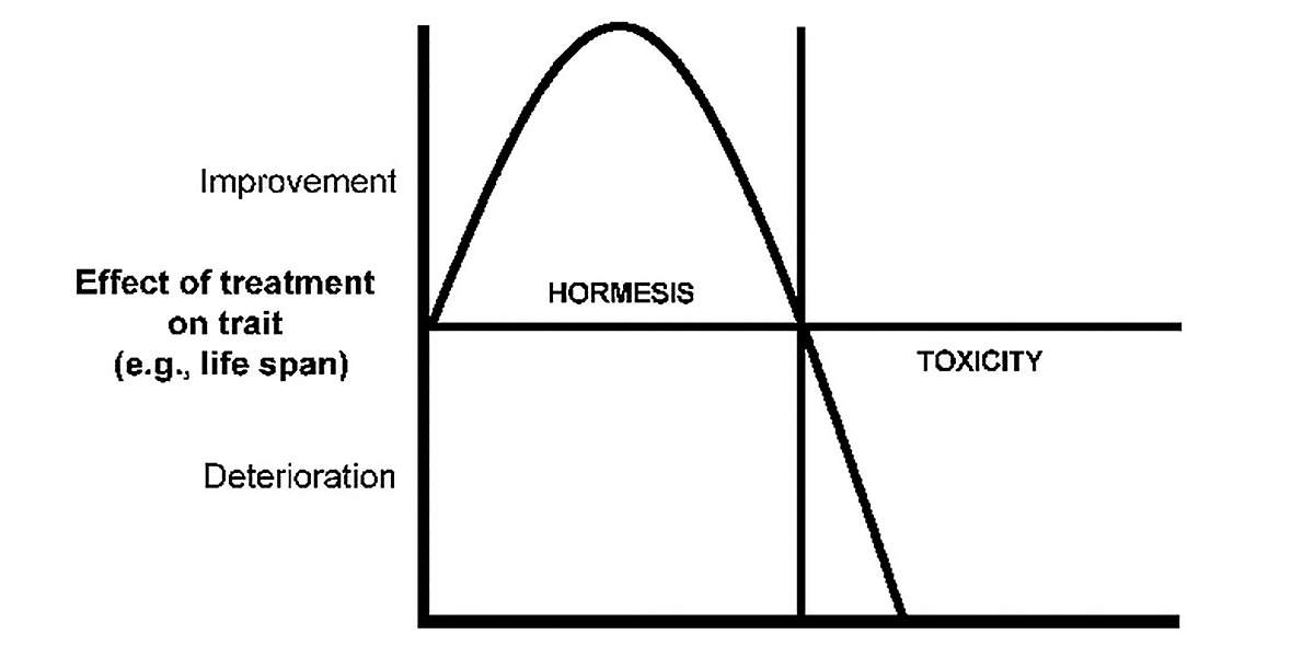 What is L-Methionine? Benefits and Properties 【HSN Blog】