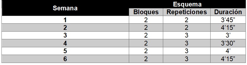 Training Guide for Basketball: Shooting Guards 【HSN Blog】