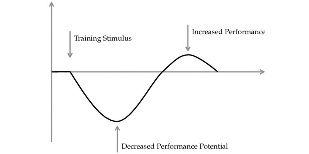 Tapering – Reach your Peak Form! 【HSN Blog】