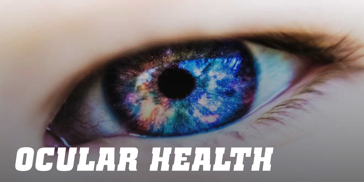Ocular Health - Complete guide to take care of our sight
