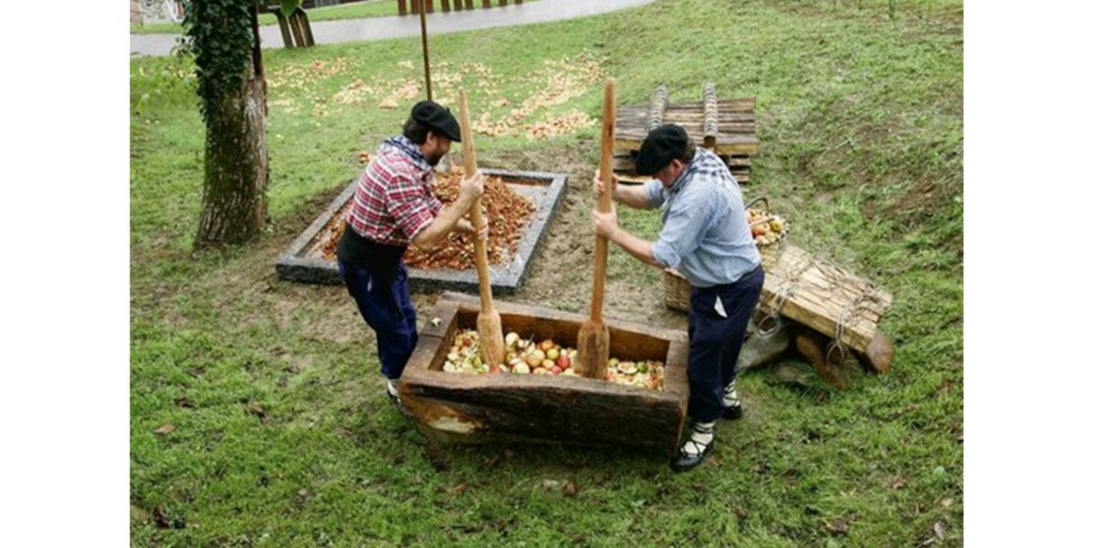 Apple Fibre – Learn all about it!【HSN Blog】