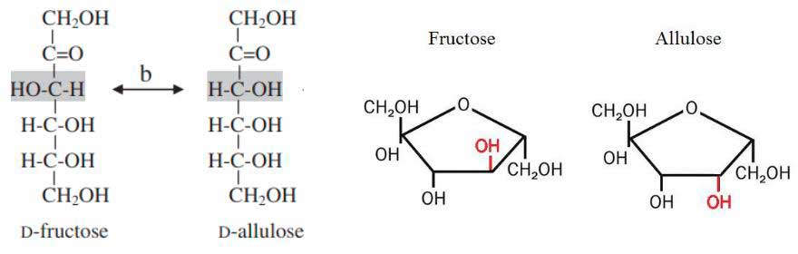 Allulose - The sugar that is naturally low in calories!【HSN Blog】
