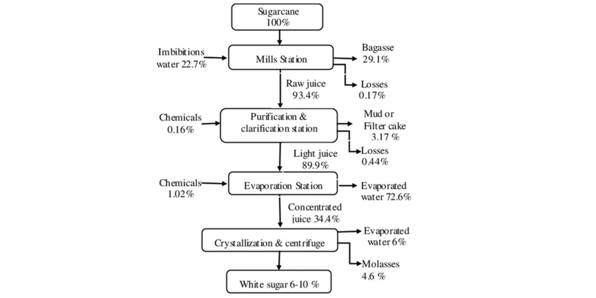 Coconut Sugar: 4 Things you didn't know about it 【2025