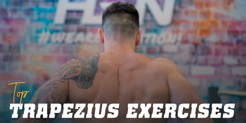 Top Exercises for Bigger Trapezius【HSN Blog】