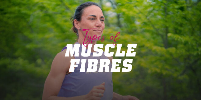 Types of muscle fibre and their relationship to sport【HSN Blog】