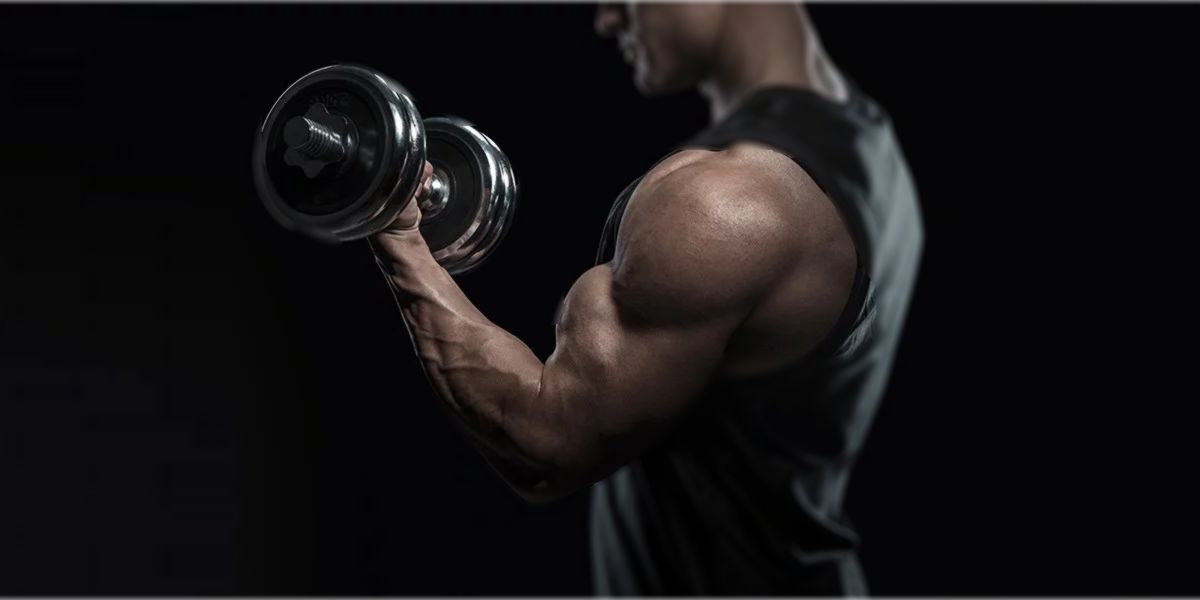 Doggcrapp: High Intensity Training for Hypertrophy【2026