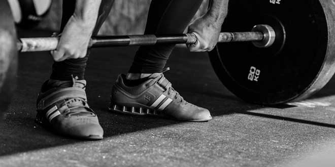 HSN Guide: Sportspeople at the Gym. Part 2【2026