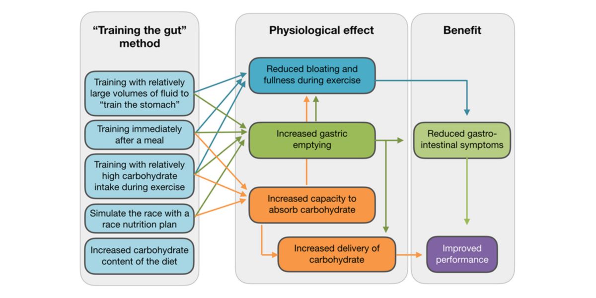 Train Low, Compete High – Does it improve performance?【HSN Blog】