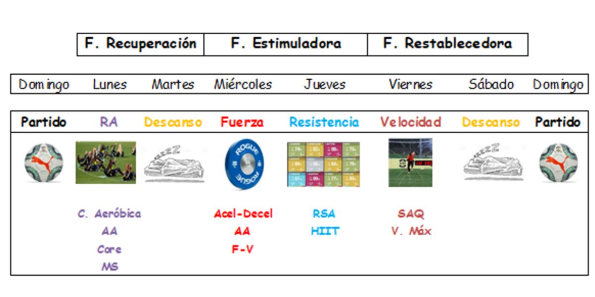 Physical Preparation for Football Referees【HSN Blog】