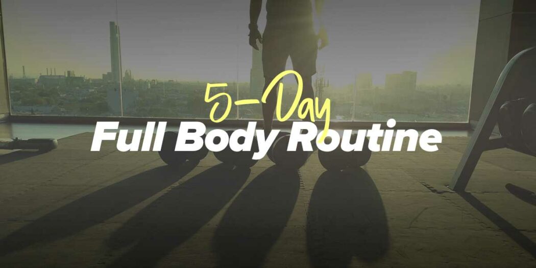 5 Day Full Body Routine - How do you train? - HSN Blog