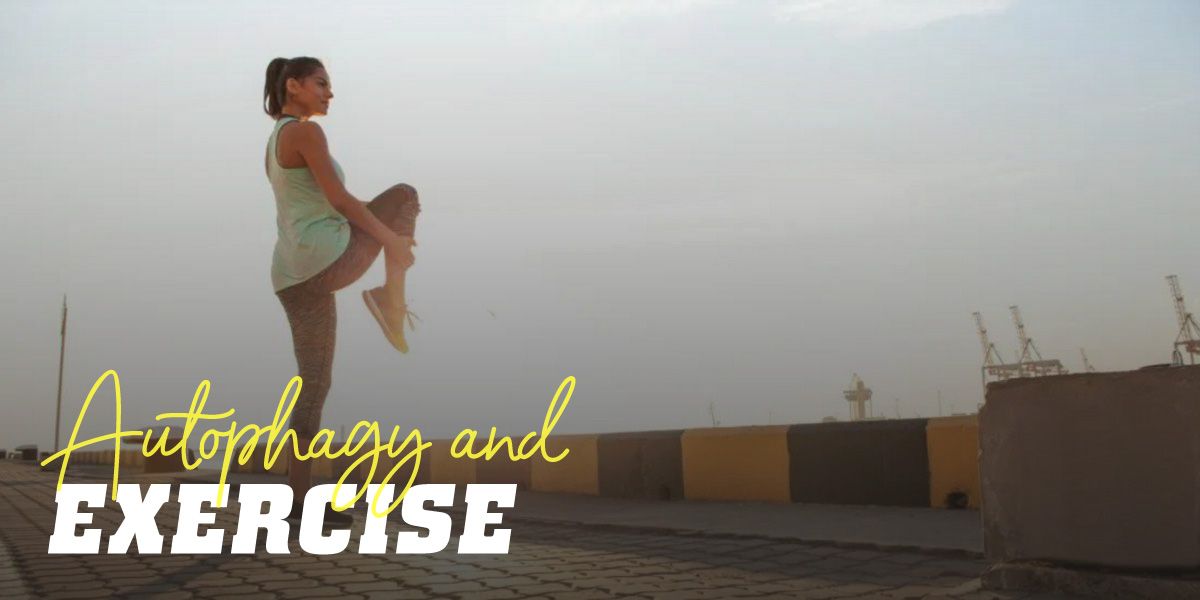 Exercise and Autophagy – More Effective that Intermittent Fasting?【HSN ...