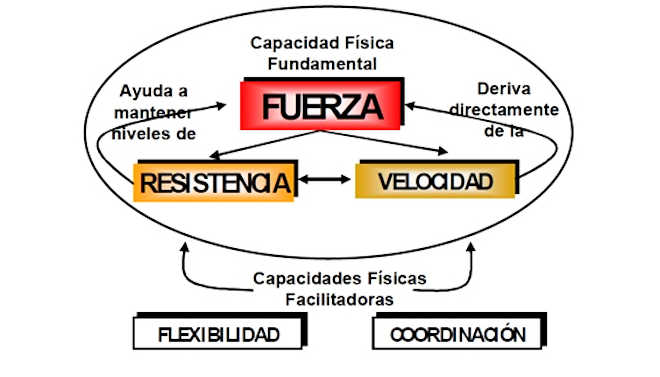 Basketball: Gym Sessions, How to Train【2025