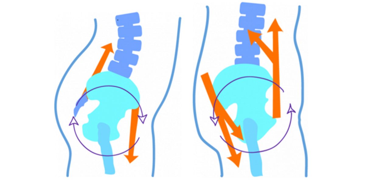 Hollow Body Hold – How to Do it Correctly【HSN Blog】