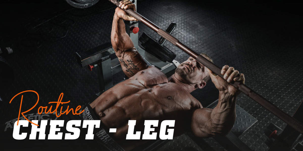 Chest Leg Training Routine - Advantages, Benefits & Scheme