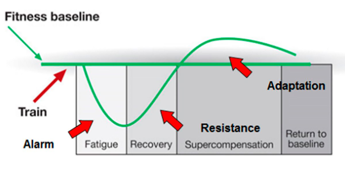 Maximum Recoverable Volume – Optimise your training!【2025