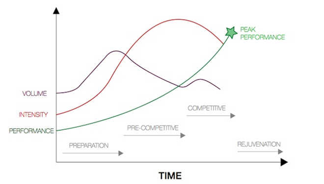 Basketball: Gym Sessions, How to Train【2025