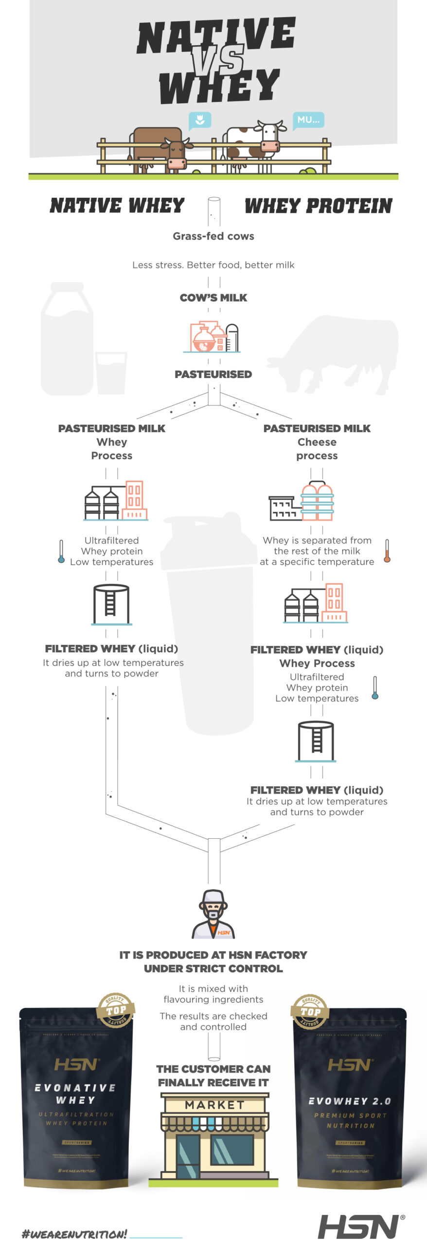What is Native Whey Protein? 【2025