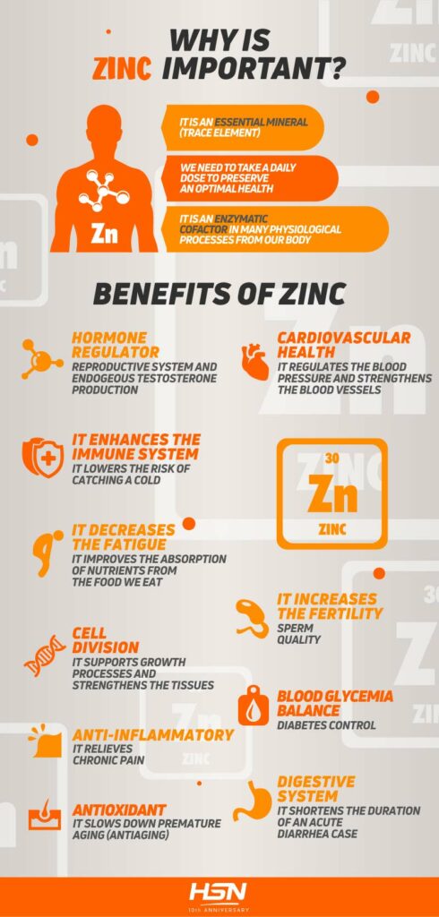 Zinc, discover the benefits for your body【2025