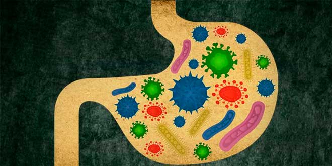 Low FODMAPs diet- What foods are allowed?【HSN Blog】