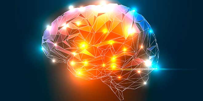 Study Supplements - Improve your Concentration!【HSN Blog】