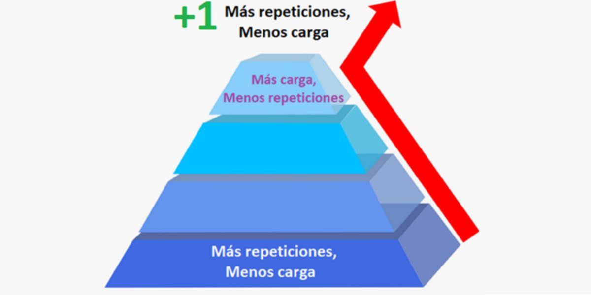 Do you know about Pyramid Training?【HSN Blog】