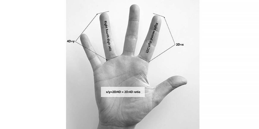 What does the 2D:4D Digit Ratio Relationship tell us?【HSN Blog】