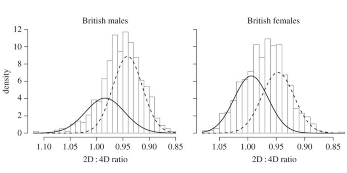 What does the 2D:4D Digit Ratio Relationship tell us?【HSN Blog】