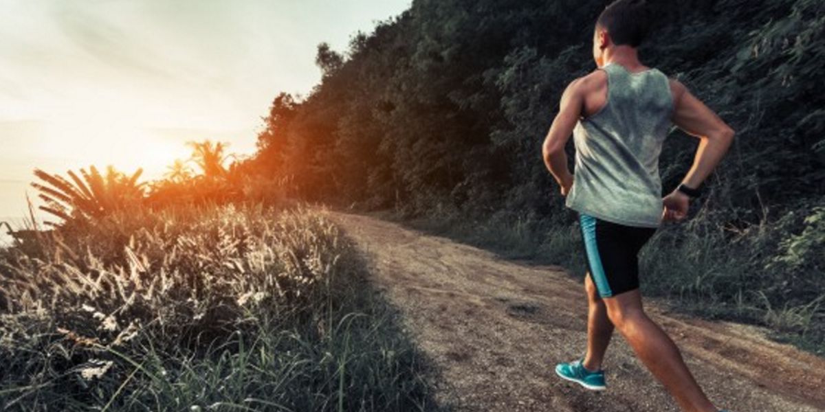 The Yo-Yo Test. What is it for and How do you do it?【HSN Blog】