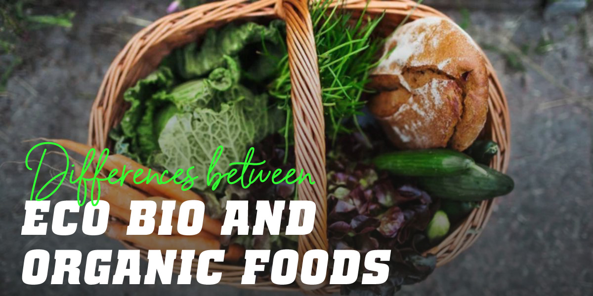 Eco, Bio, and Organic Foods: What's the Difference? - HSN