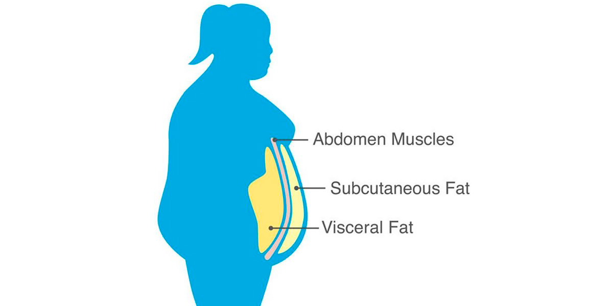 Bioimpedance Measures: Reliability for Body Fat Percentage